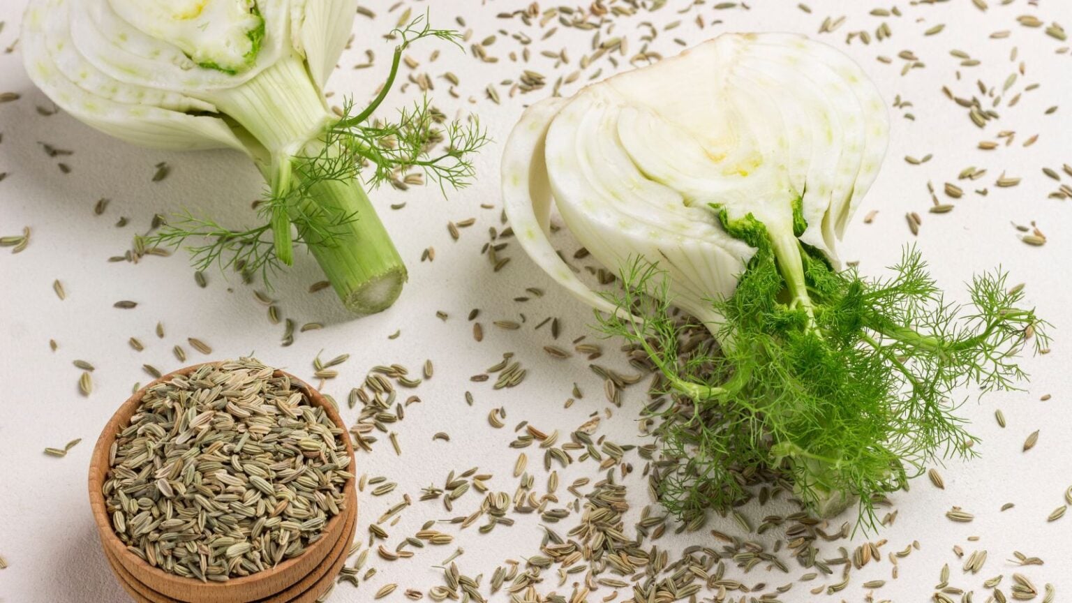 How to Plant, Grow, and Care for Fennel