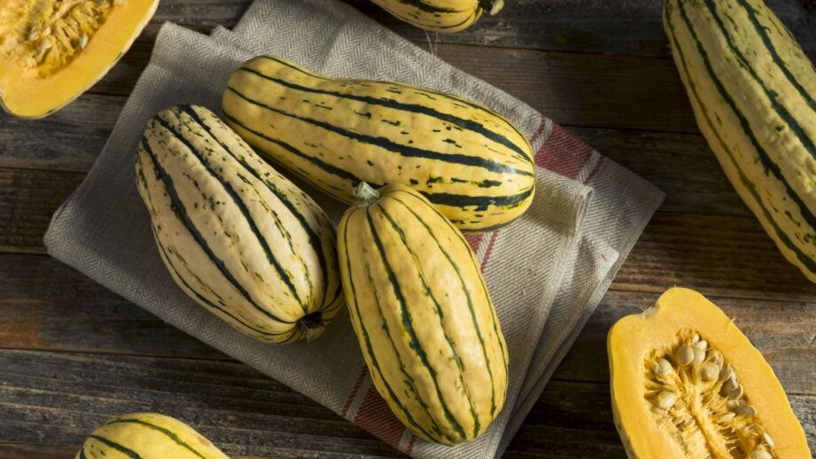How to Plant, Grow, and Care for Delicata Squash