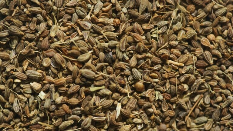 How to Plant, Grow, and Care for Anise