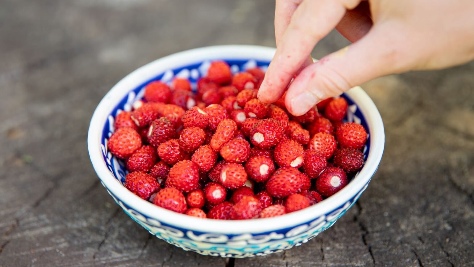 How to Plant, Grow, and Care for Alpine Strawberries