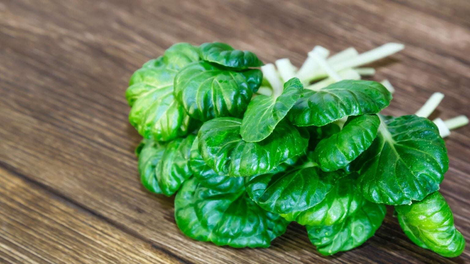 How to Plant, Grow, and Care for Tatsoi