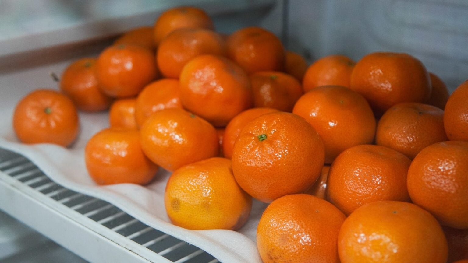 How to Plant, Grow, and Care for a Mandarin Tree