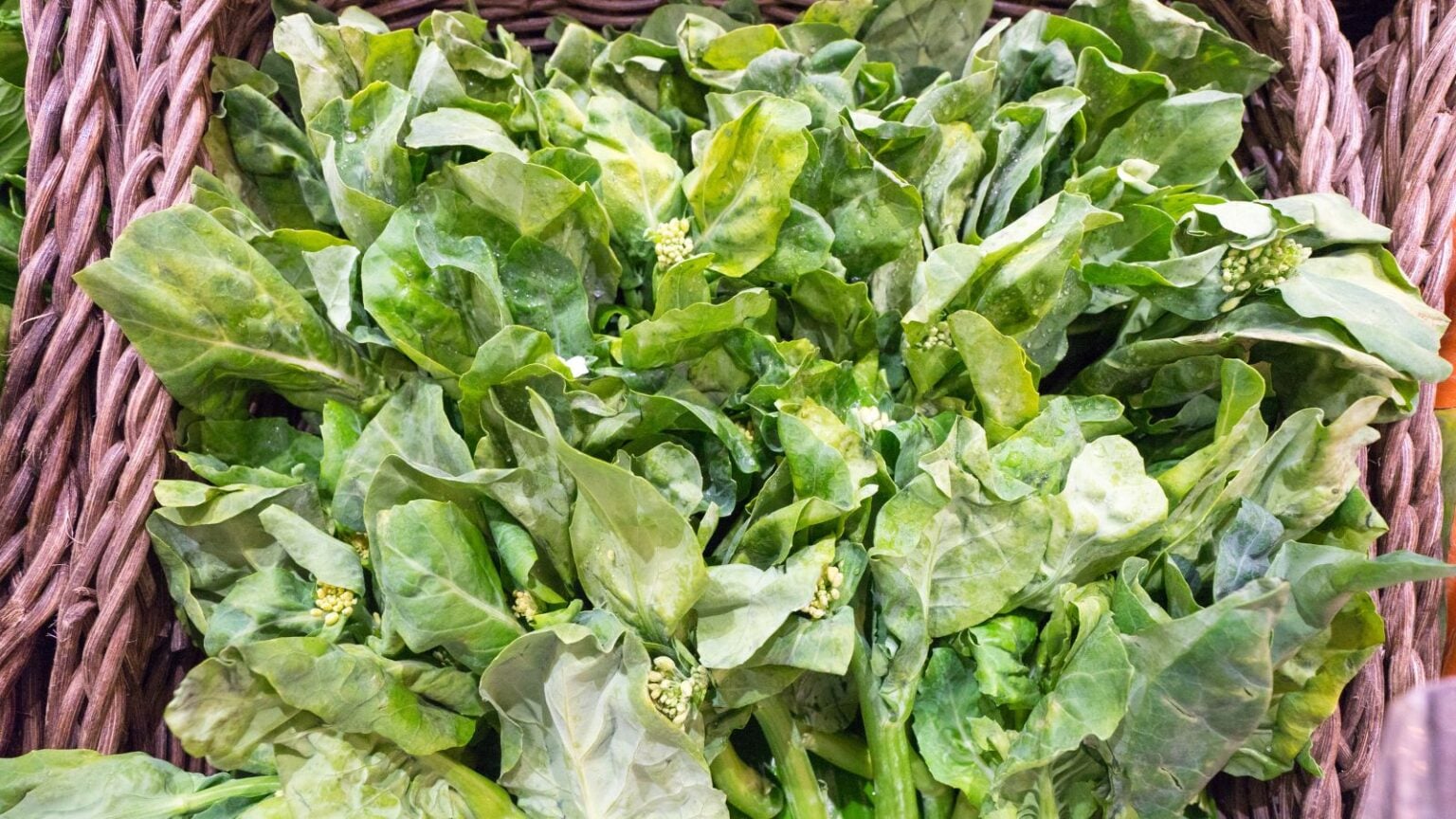 How to Plant, Grow, and Care for Chinese Broccoli