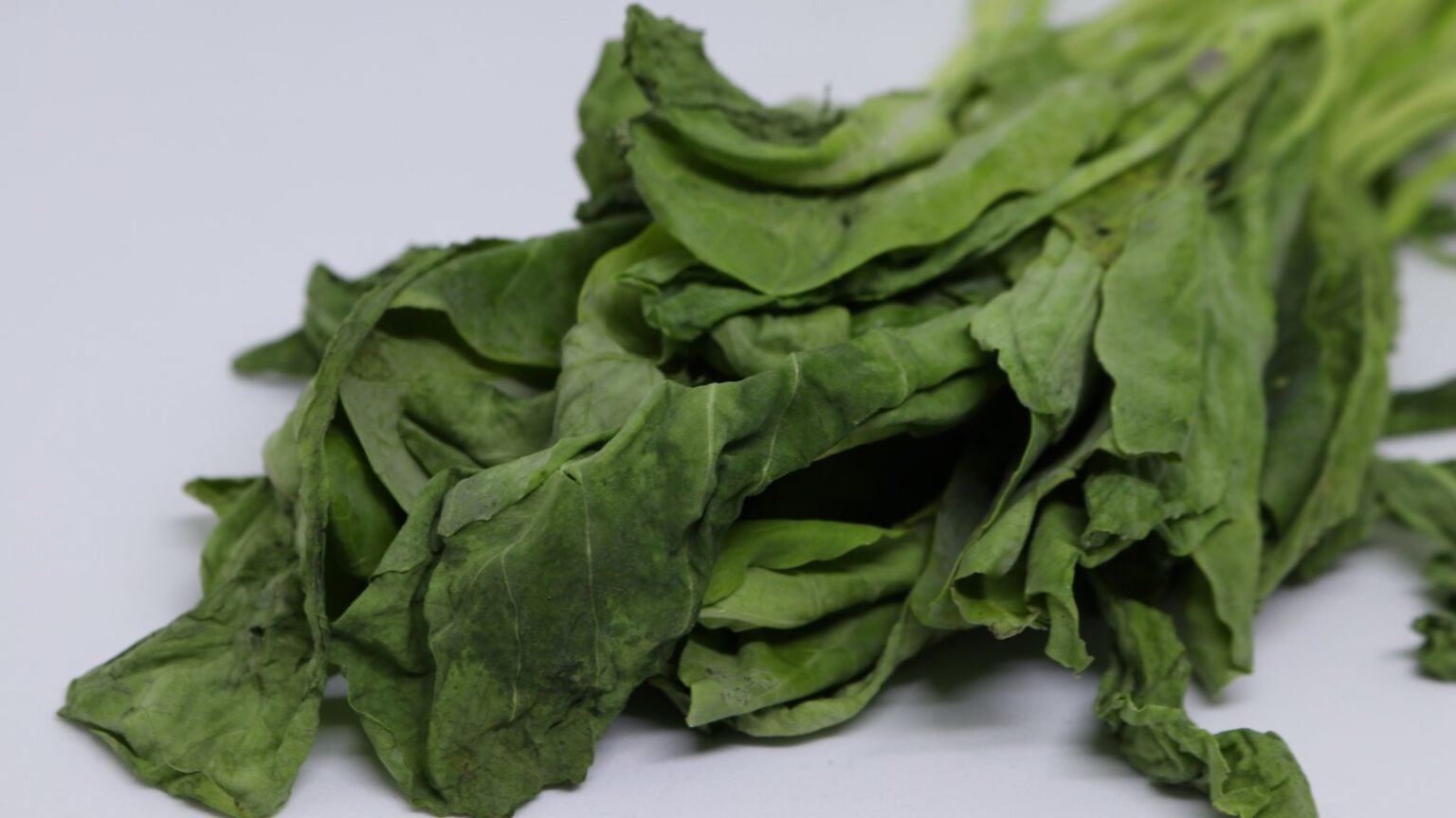 How to Plant, Grow, and Care for Chinese Broccoli