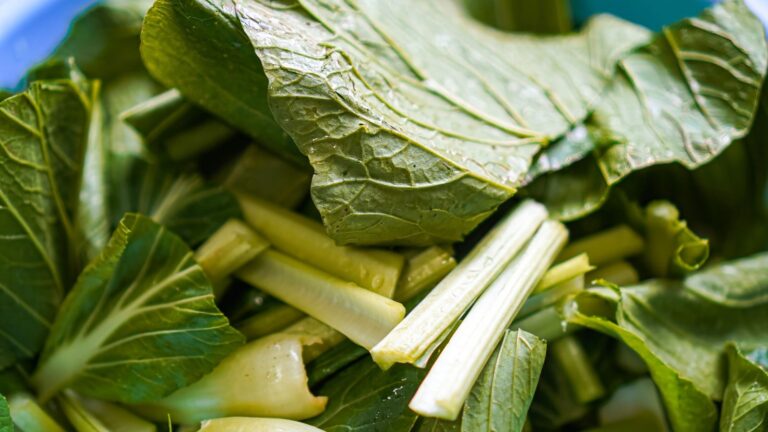 Growing Collard Greens: A Southern Staple - Epic Gardening