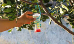 DIY Hummingbird Feeder: 4 Easy Designs - Epic Gardening