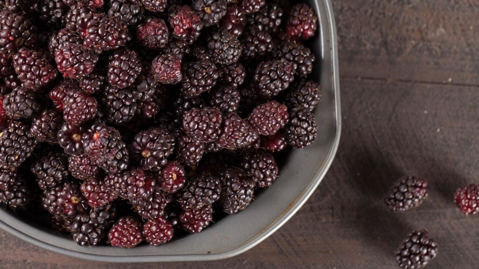 How to Plant, Grow, and Care for Boysenberry