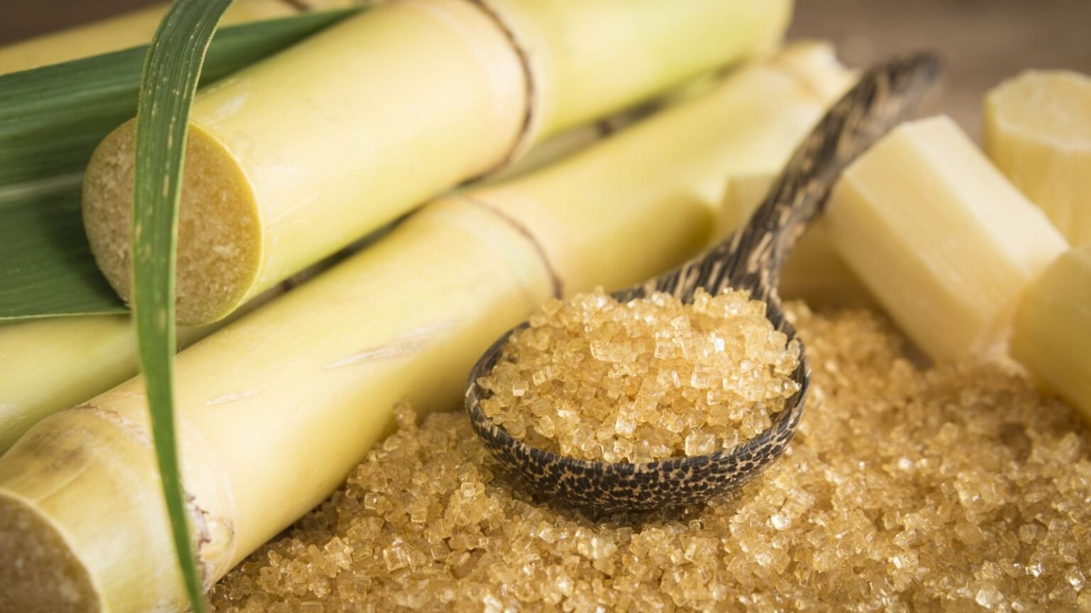 How to Plant, Grow, and Care for Sugar Cane