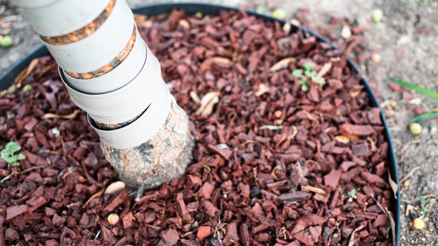 16 Types of Mulch to Improve Your Garden
