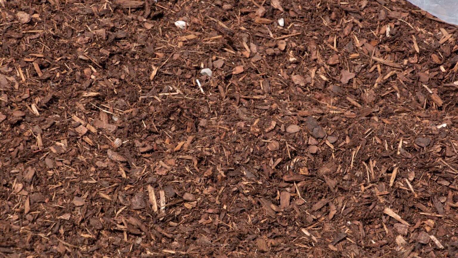 16 Types of Mulch to Improve Your Garden