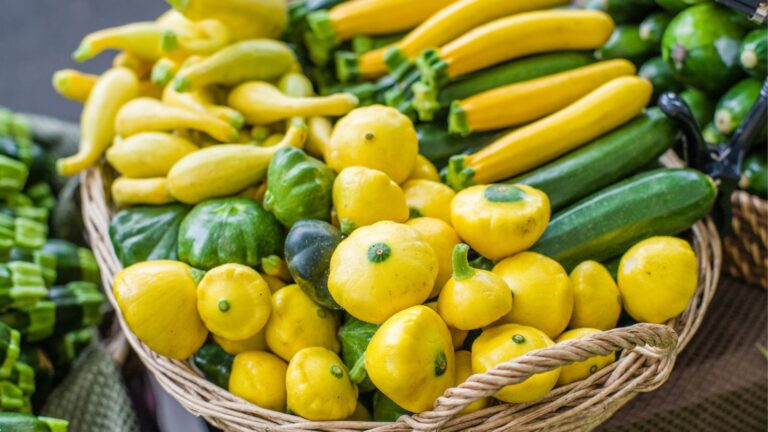 How To Store and Preserve Squash