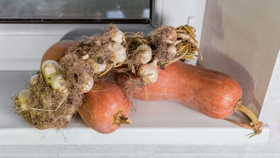 How To Store and Preserve Squash