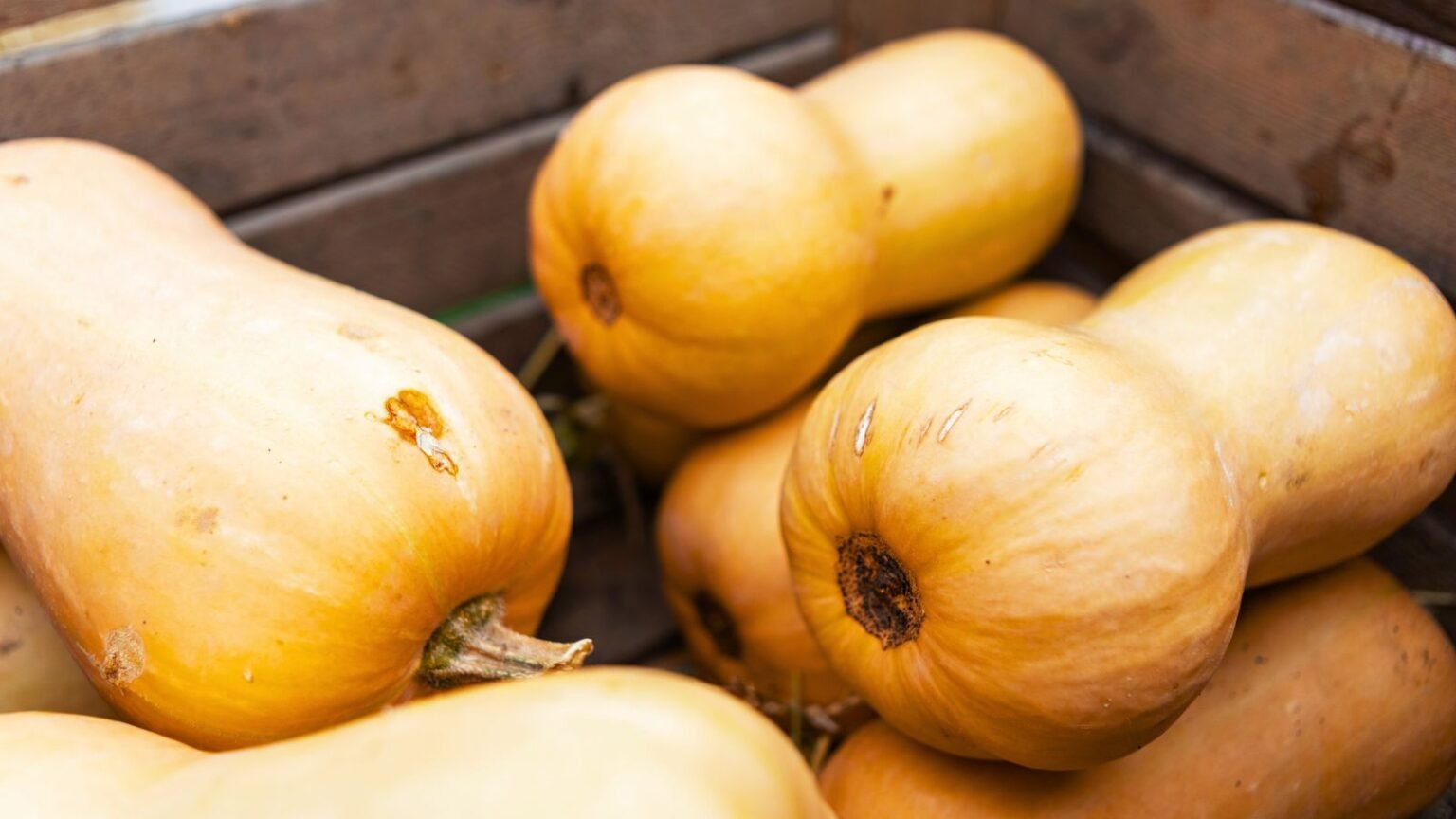 How To Store and Preserve Squash