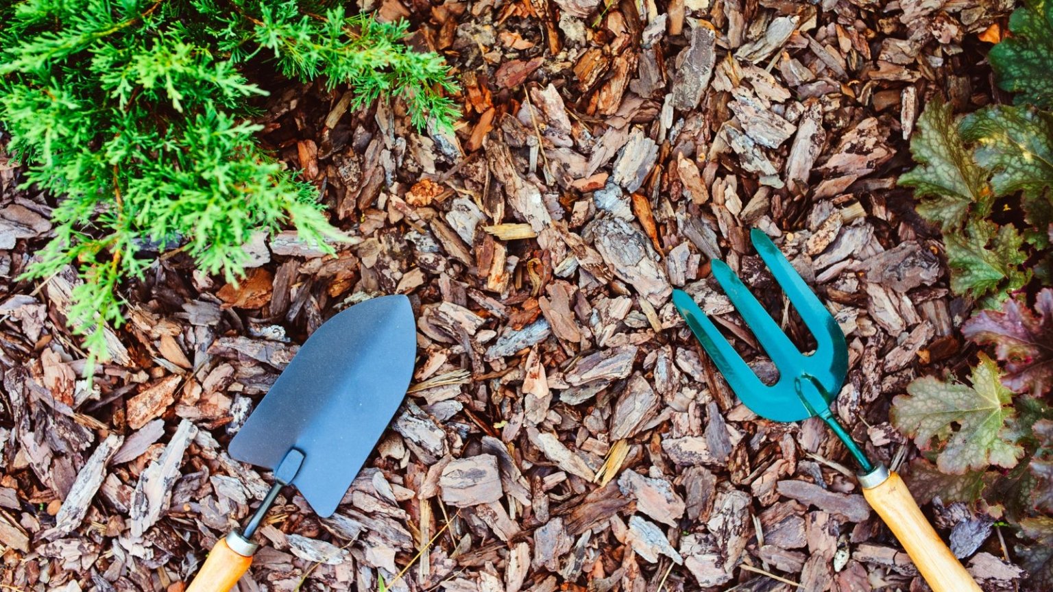 The Pros and Cons of Wood Chip Mulch