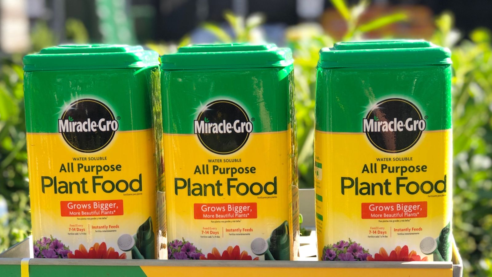 Is Miracle-Gro Organic?