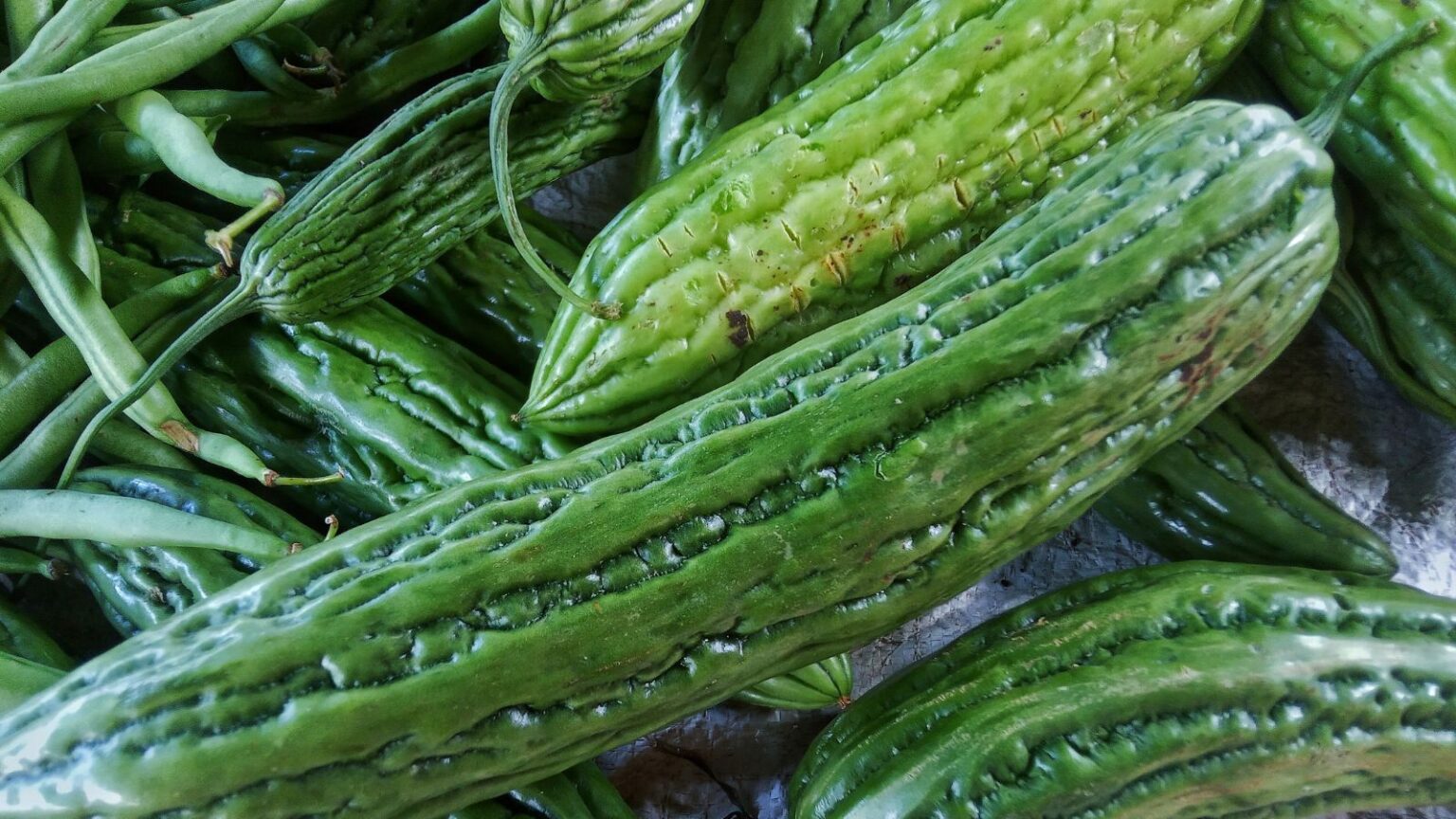 How to Plant, Grow, and Care for Balsam Pear
