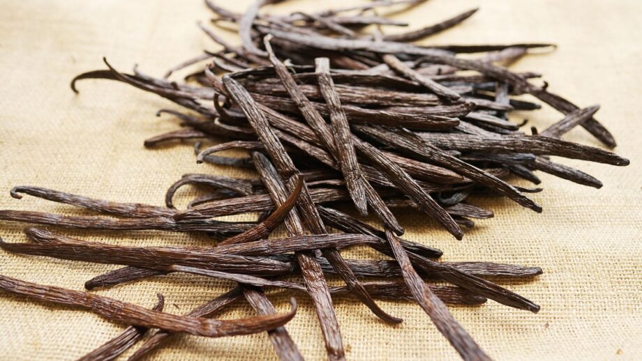 How To Grow Vanilla Beans: The Vanilla Orchid