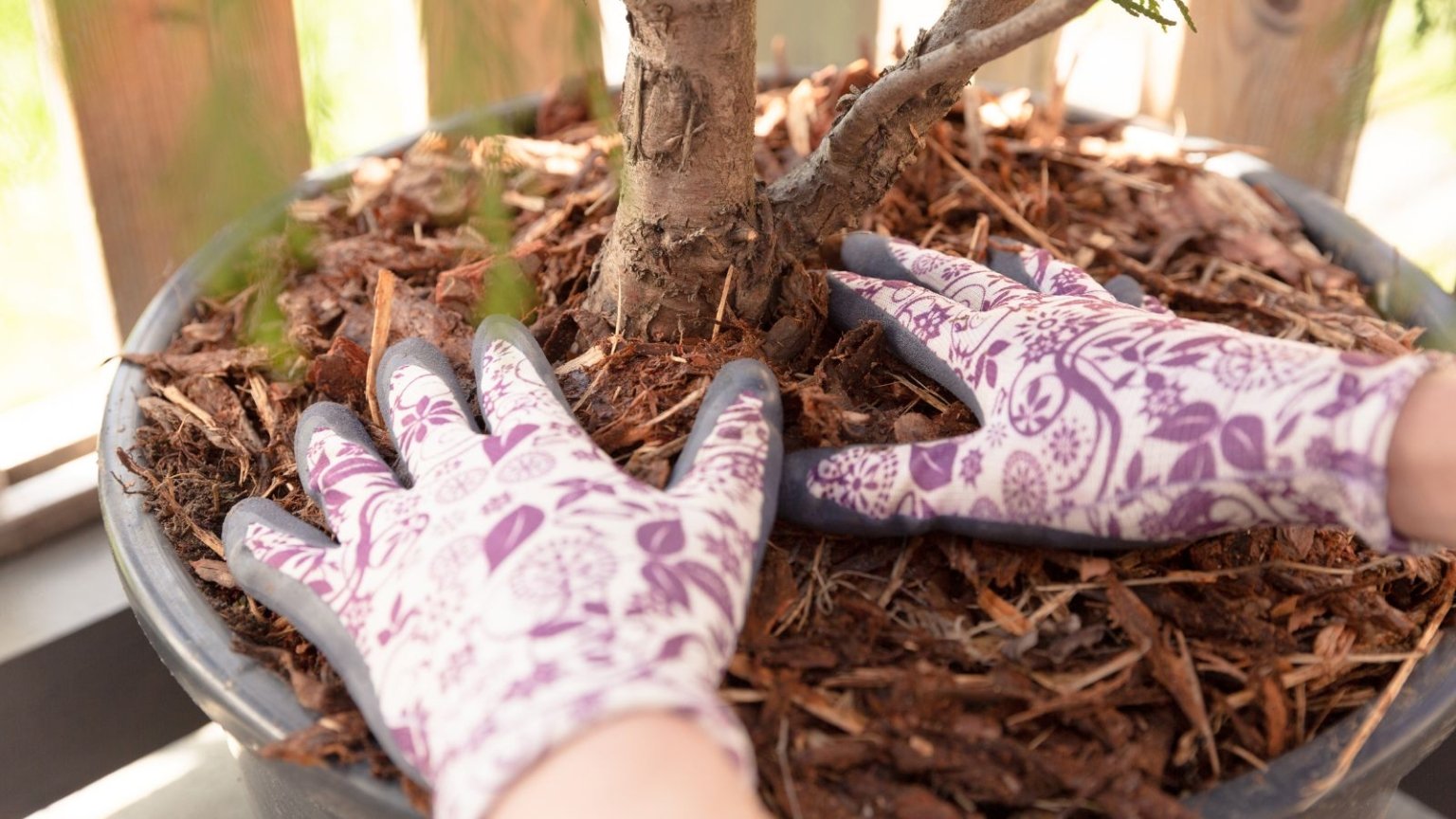 How to Make and Use Leaf Mulch - Epic Gardening