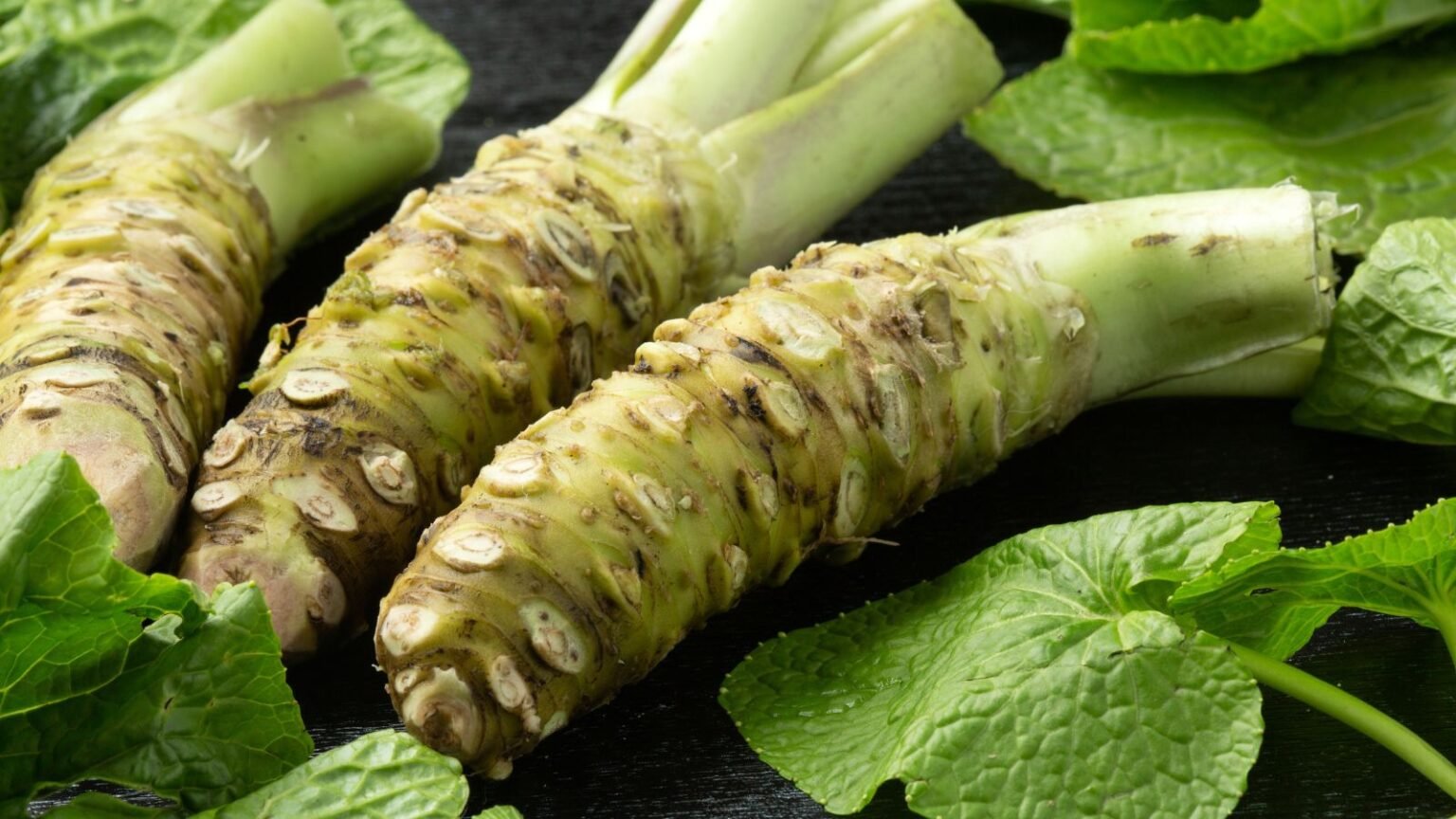 How To Plant, Grow, and Care for Wasabi