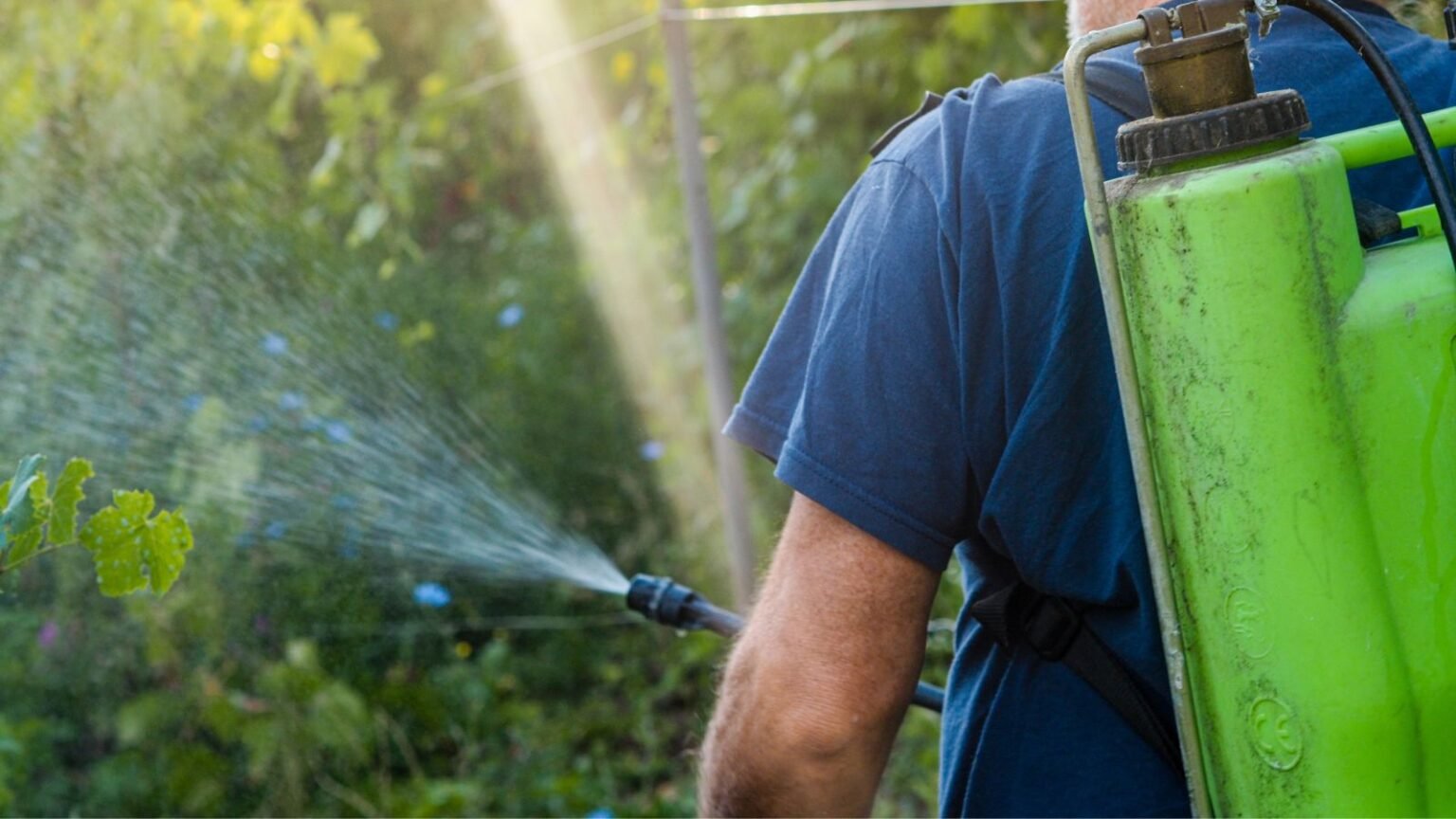 When and How to Use Copper Fungicide in the Garden