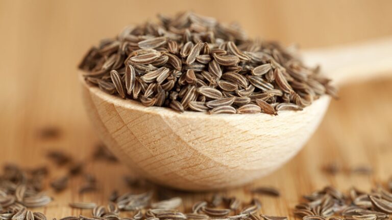 How to Plant, Grow, and Care for Caraway