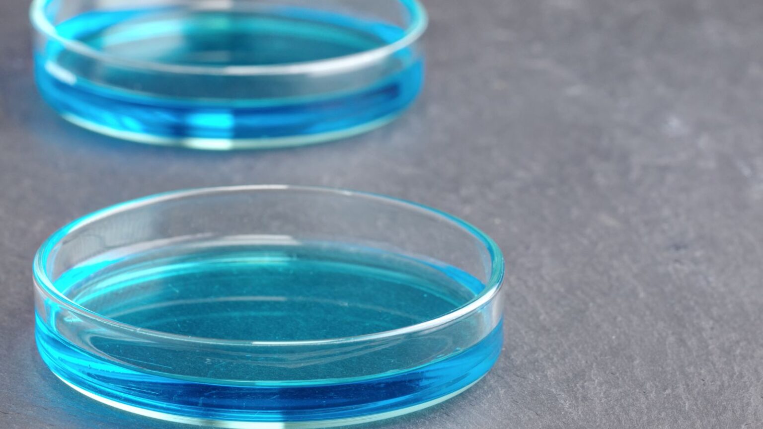 When and How to Use Copper Fungicide in the Garden