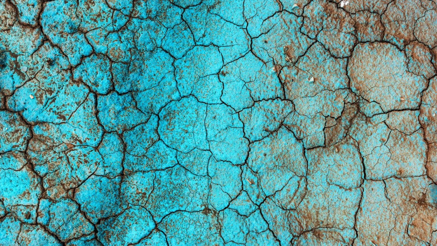 When and How to Use Copper Fungicide in the Garden