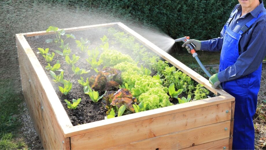 Irrigation Systems for Watering Raised Beds