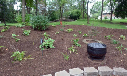 How To Spread Mulch The Right Way - Epic Gardening