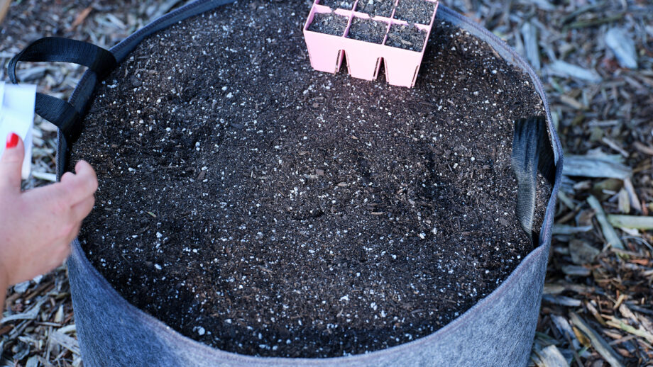 Homemade Seed Starting Mix: DIY Options with Recipes