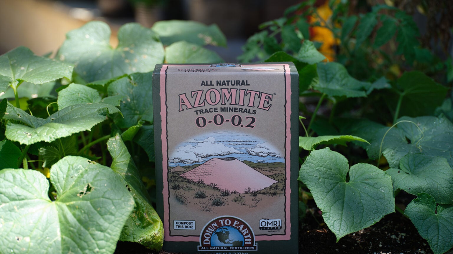 Homemade Seed Starting Mix: DIY Options with Recipes