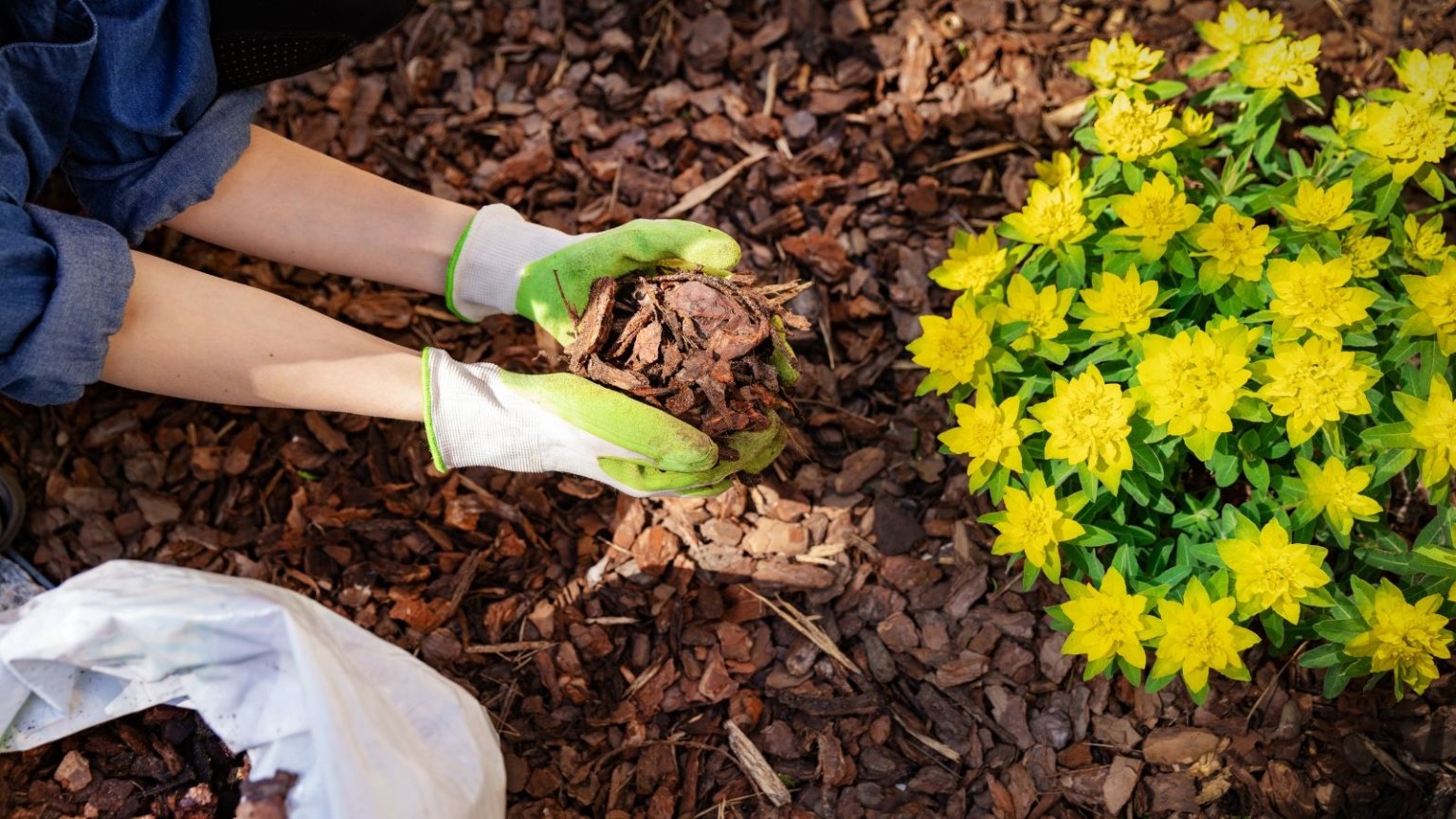 How To Spread Mulch The Right Way