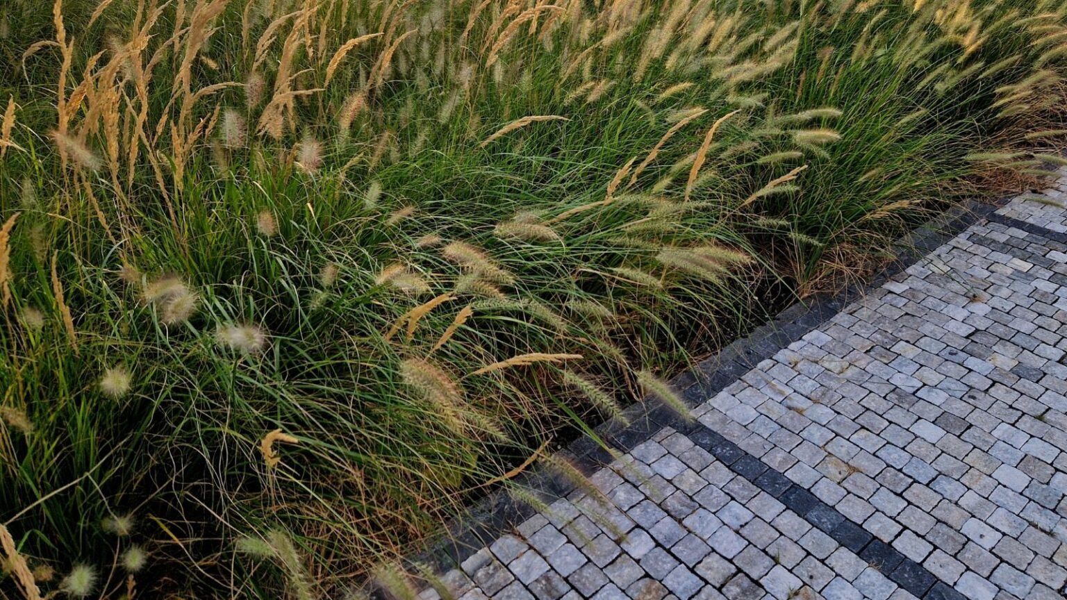 Wheelchair Accessible Garden Design Using Raised Beds