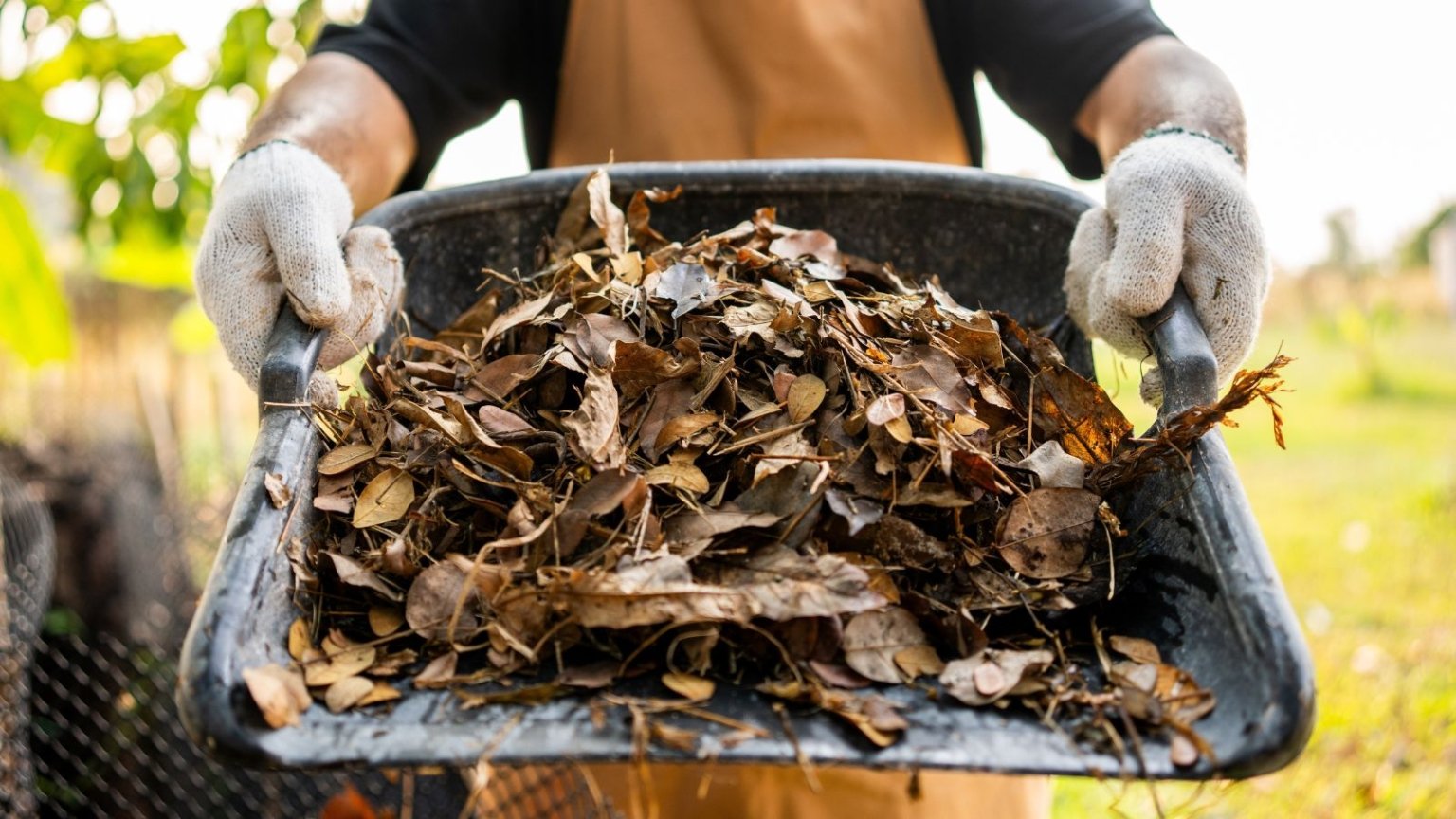 How to Make and Use Leaf Mold