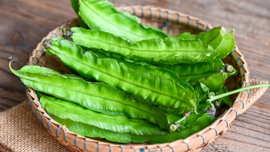 Plant, Grow, and Care for Winged Bean