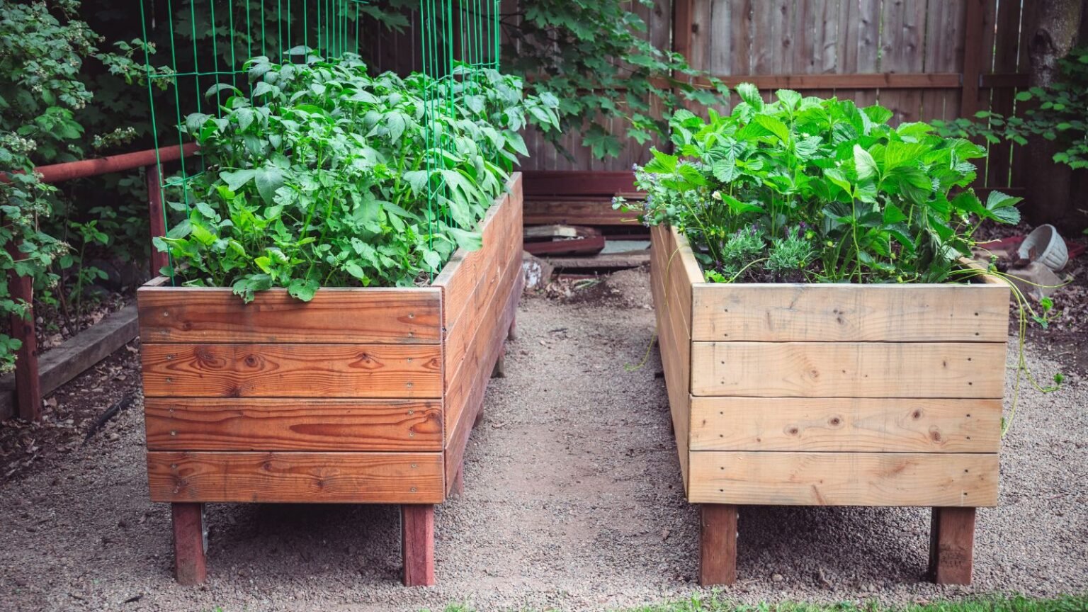 Wheelchair Accessible Garden Design Using Raised Beds