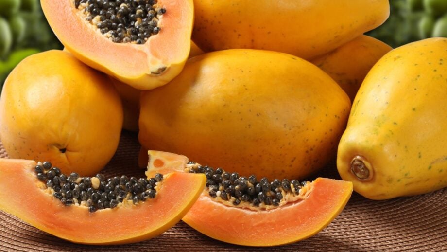 How to Plant, Grow, and Care for Papaya Tree