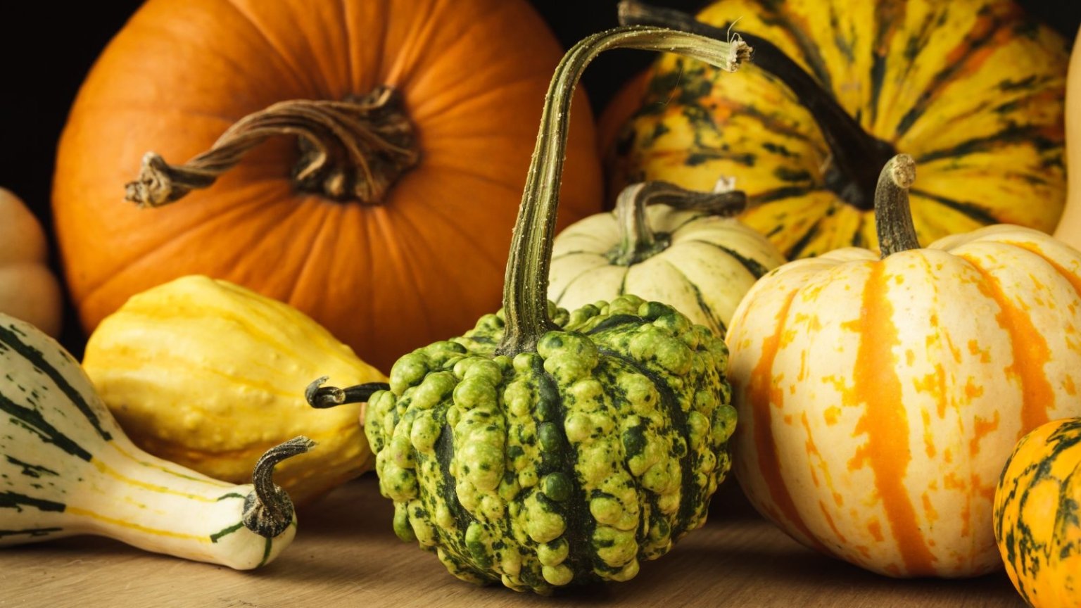 Pumpkin Varieties: 91 Different Types of Pumpkin