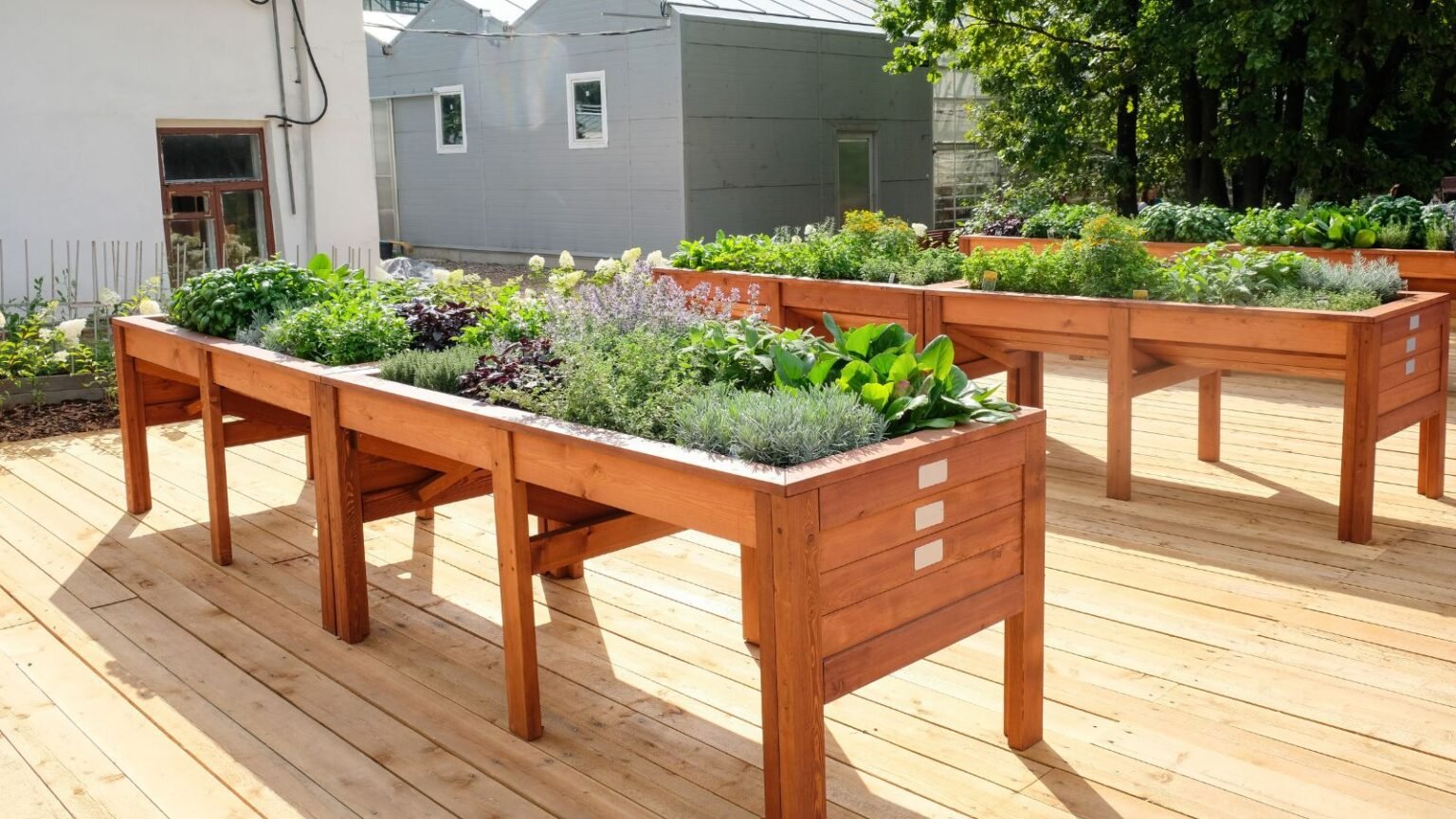 Wheelchair Accessible Garden Design Using Raised Beds