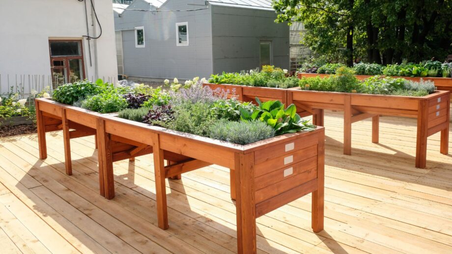 Wheelchair Accessible Garden Design Using Raised Beds
