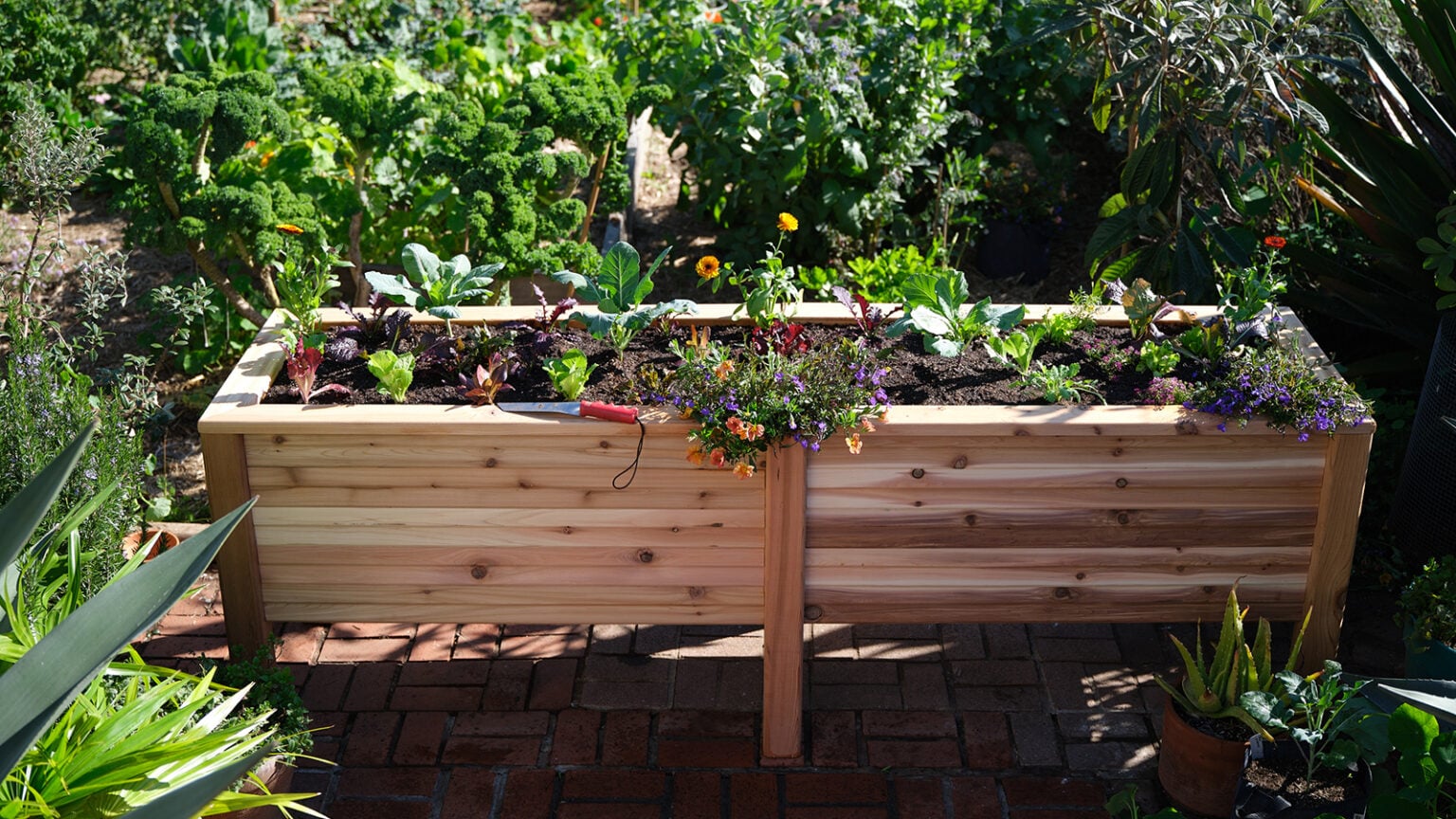 Wheelchair Accessible Garden Design Using Raised Beds