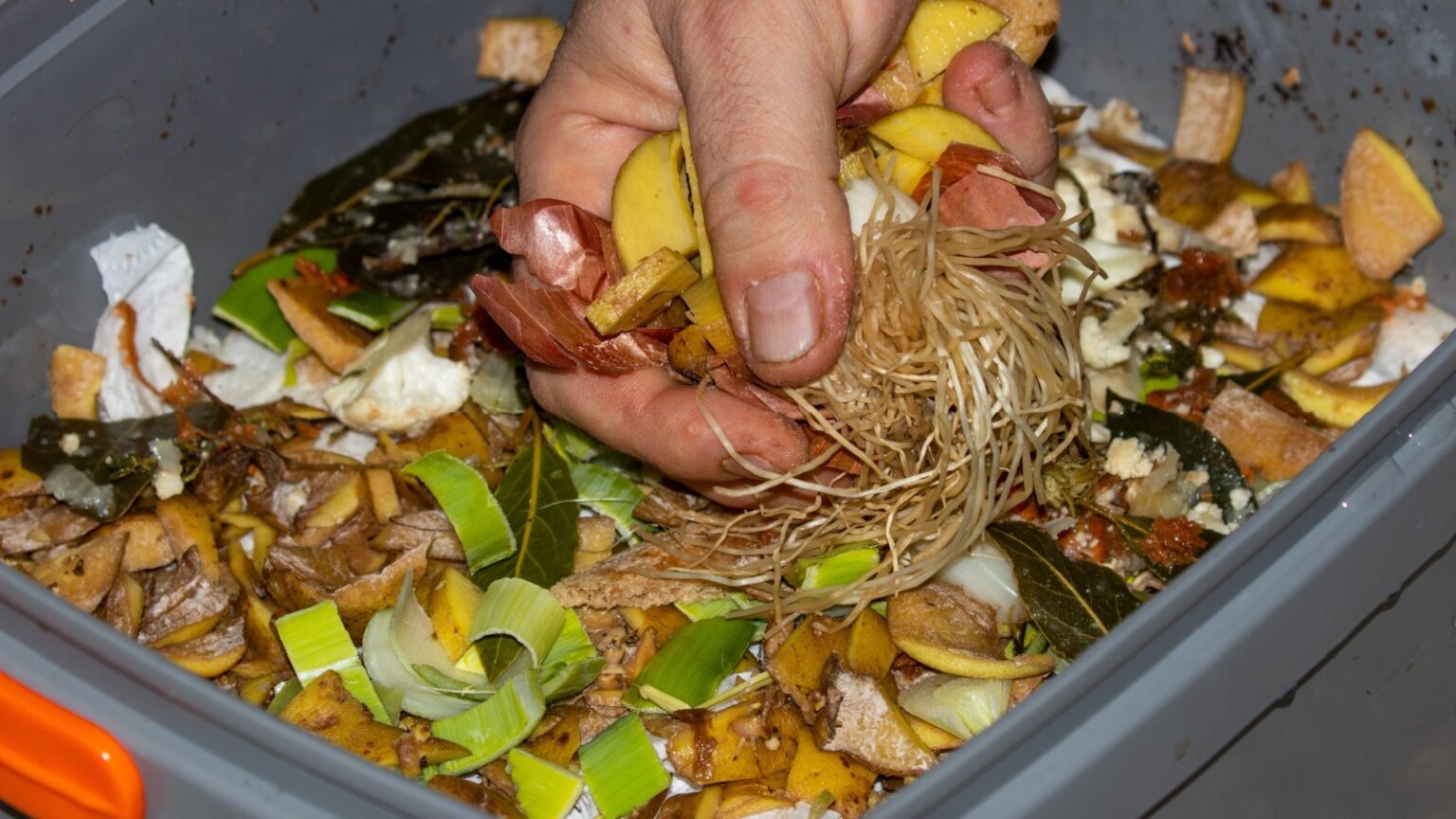 Bokashi Composting: How Does It Work? - Epic Gardening