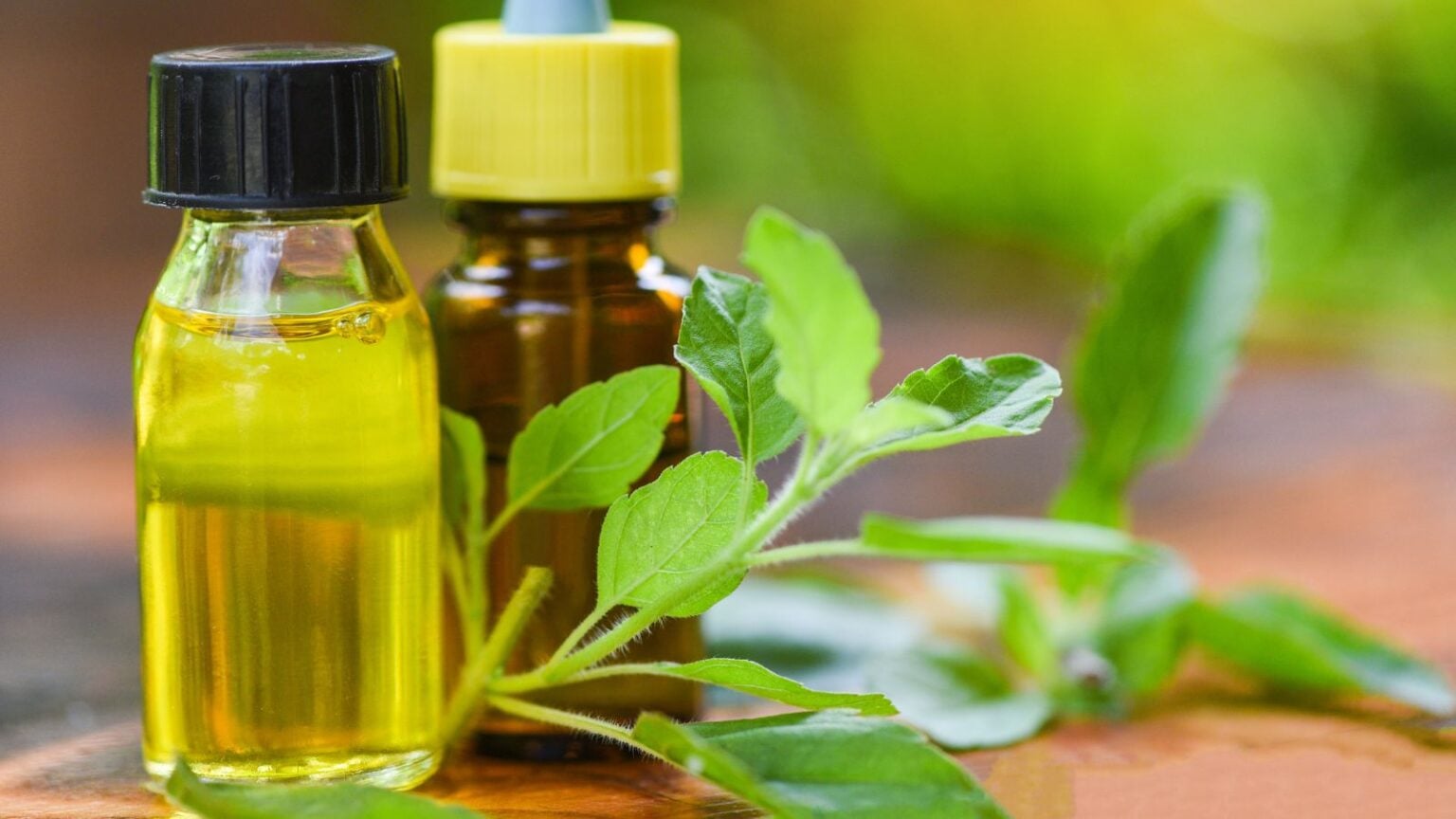 Horticultural Oil: How Dormant Oil Works