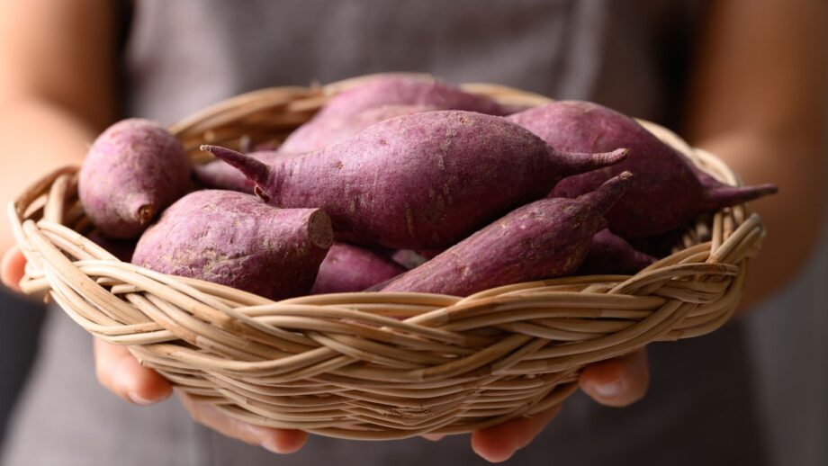 How to Cure Sweet Potatoes for Long-Term Storage
