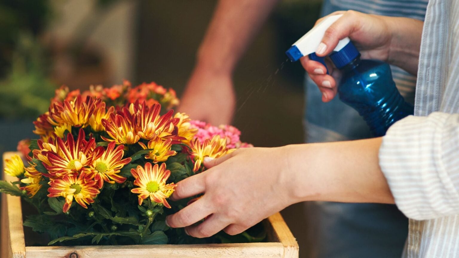 Horticultural Oil: How Dormant Oil Works