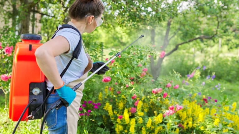 Horticultural Oil: How Dormant Oil Works
