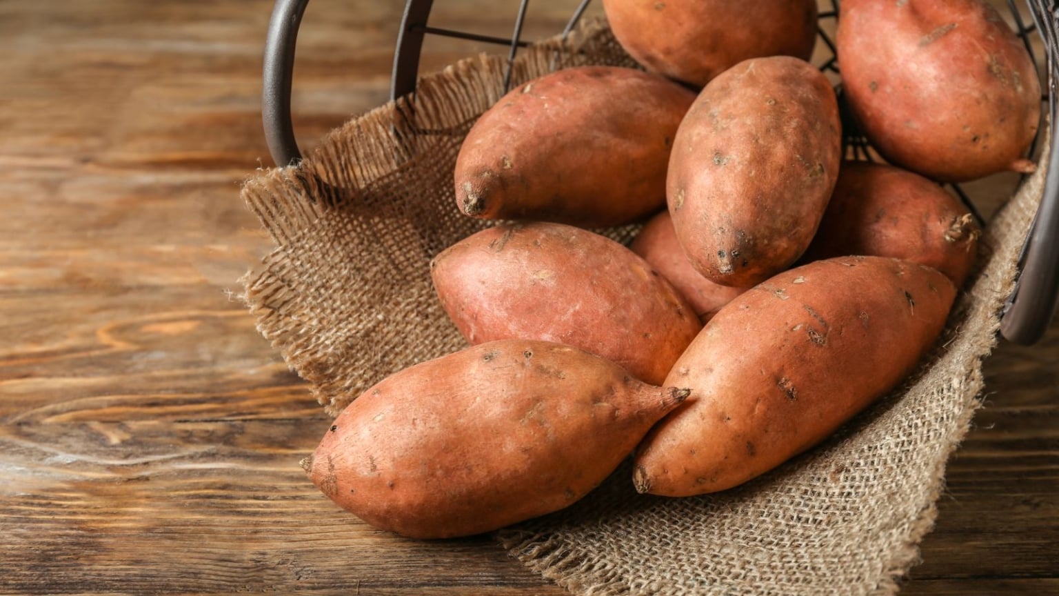 How to Harvest and Store Sweet Potatoes