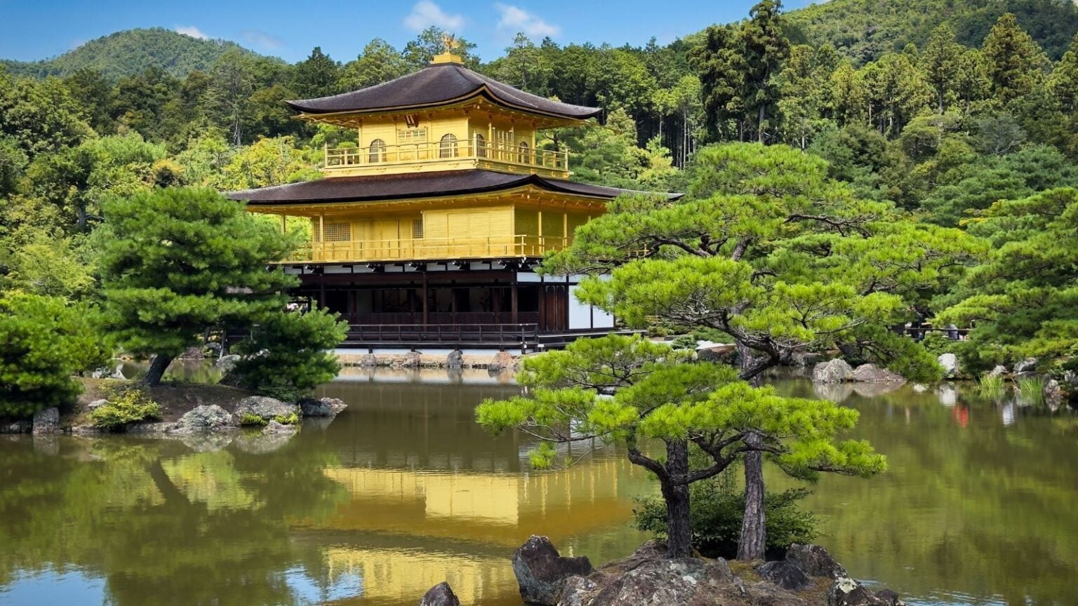 A Complete Guide to Japanese Zen Gardens - Epic Gardening