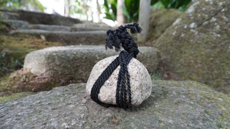 A Complete Guide to Japanese Zen Gardens - Epic Gardening