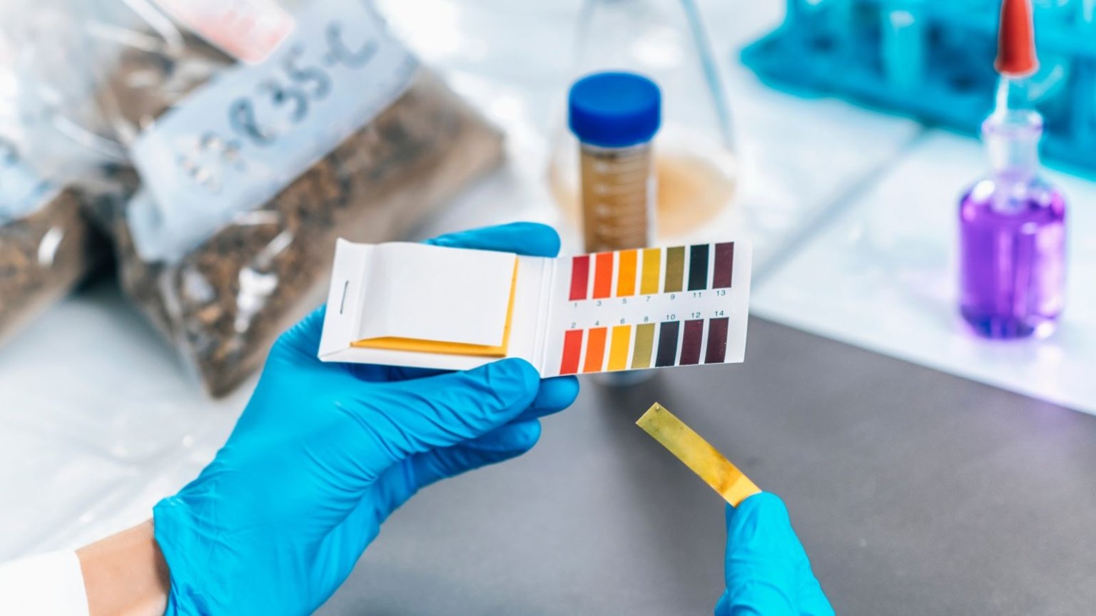 How To Lower Soil pH Or Raise Soil pH